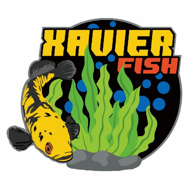 Produk Xavier Fish | Shopee Indonesia