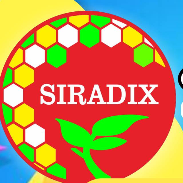 Produk Herbal Siradix | Shopee Indonesia