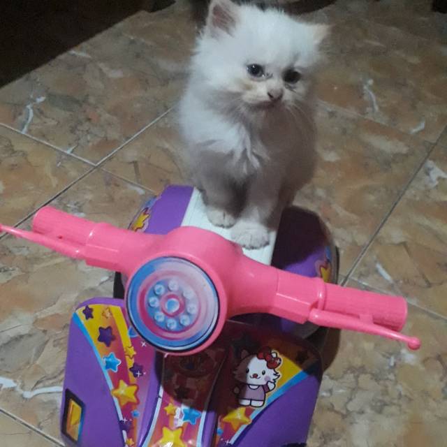 Produk winii_a | Shopee Indonesia