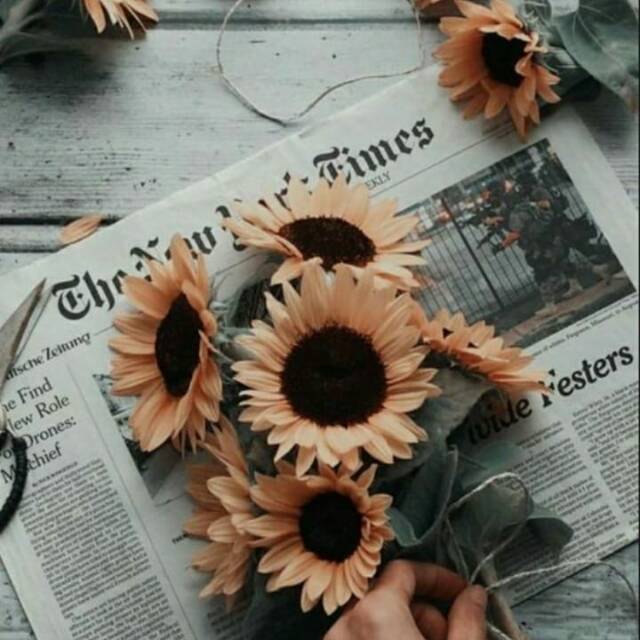 Produk selfera | Shopee Indonesia