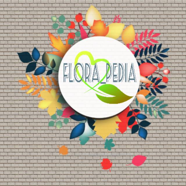 Produk Flora_pedia | Shopee Indonesia
