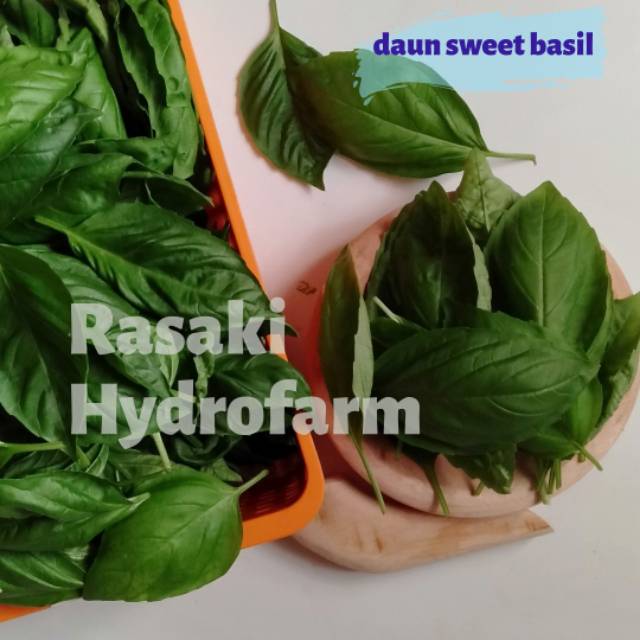 Produk Rasaki Hydrofarm | Shopee Indonesia