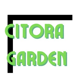 Produk Citora Garden | Shopee Indonesia
