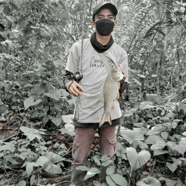 Produk TAKI TAKI Frog | Shopee Indonesia