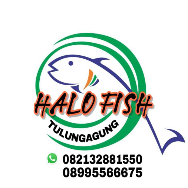 Produk HALO FISH | Shopee Indonesia