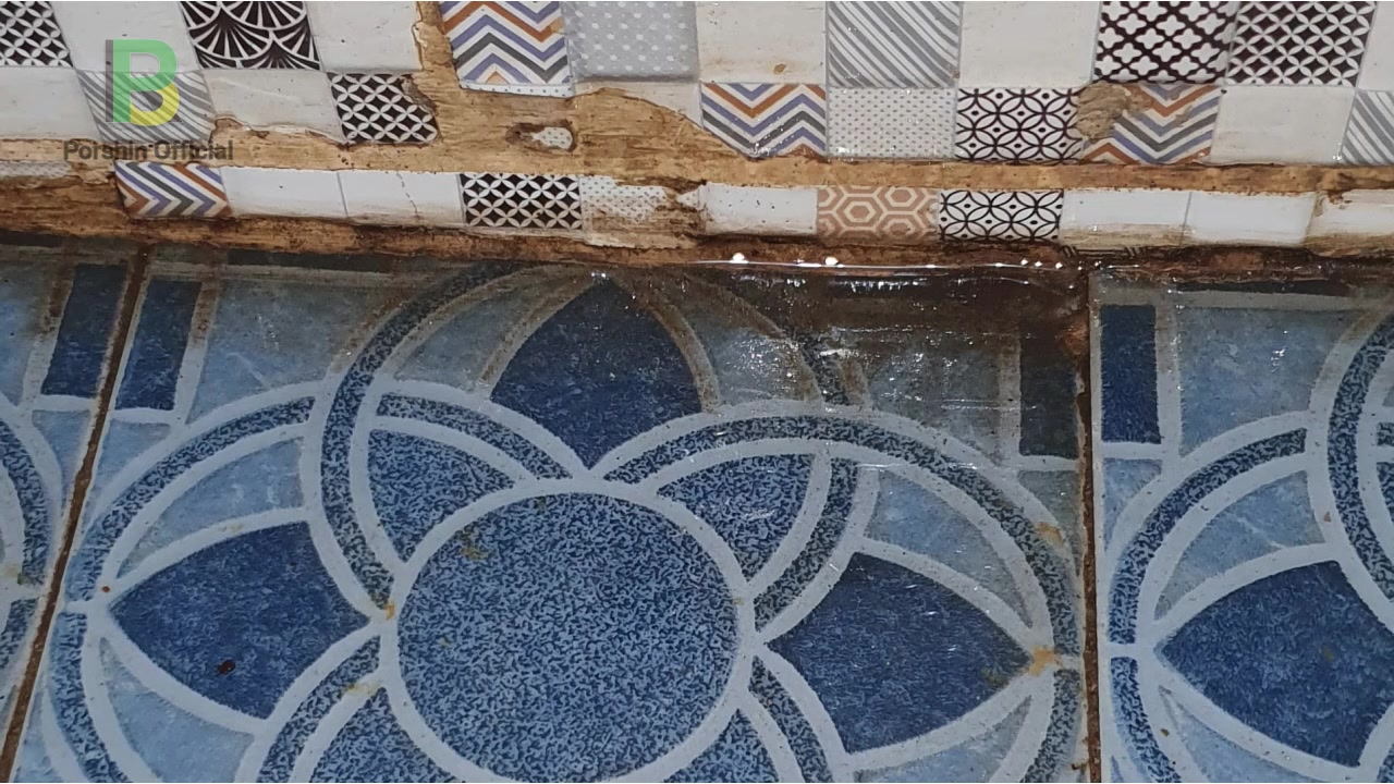 Produk Porshin Official | Shopee Indonesia