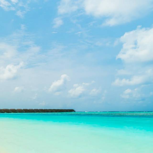 Produk basun jaya | Shopee Indonesia