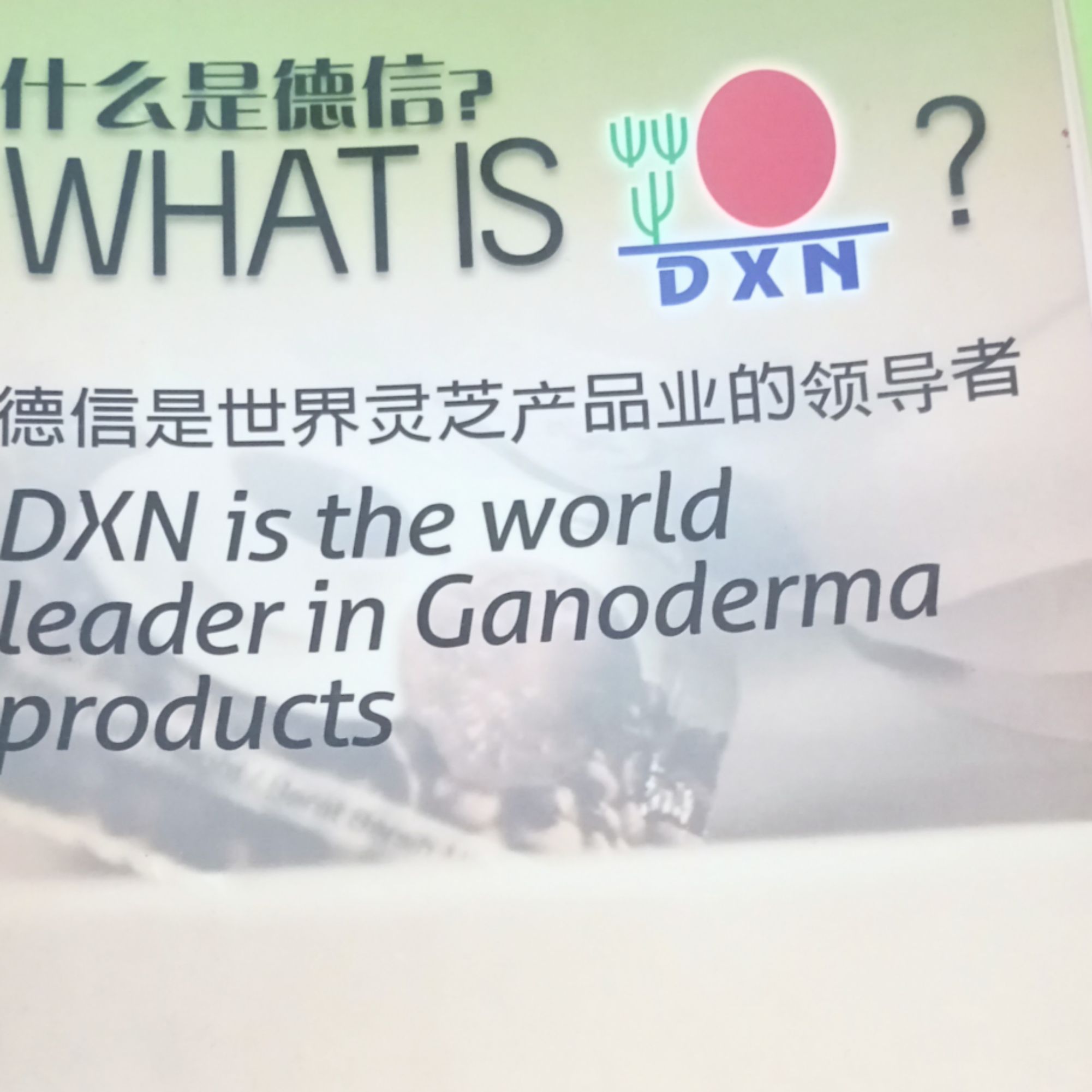 Produk DXN Original | Shopee Indonesia