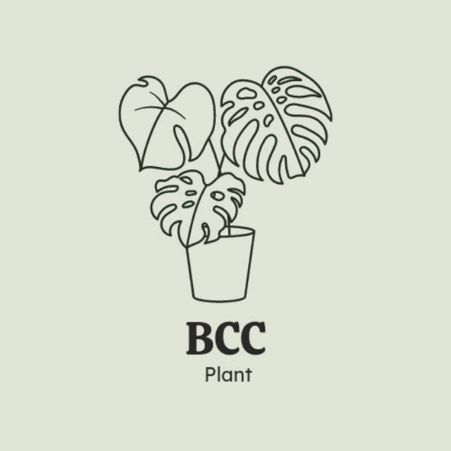 Produk BCC plant | Shopee Indonesia