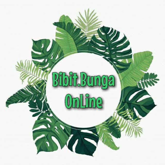 Produk Bibit Bunga Online | Shopee Indonesia
