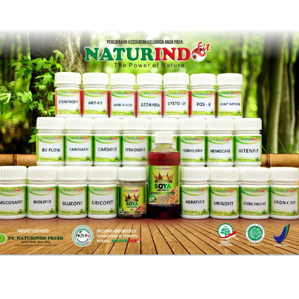Produk Naturindo Fit Official Store | Shopee Indonesia