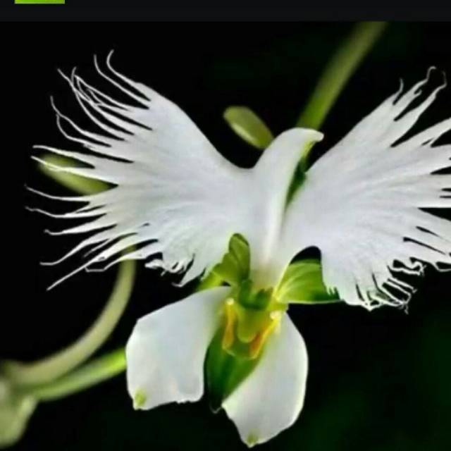 Produk Tweety NetComp. | Shopee Indonesia