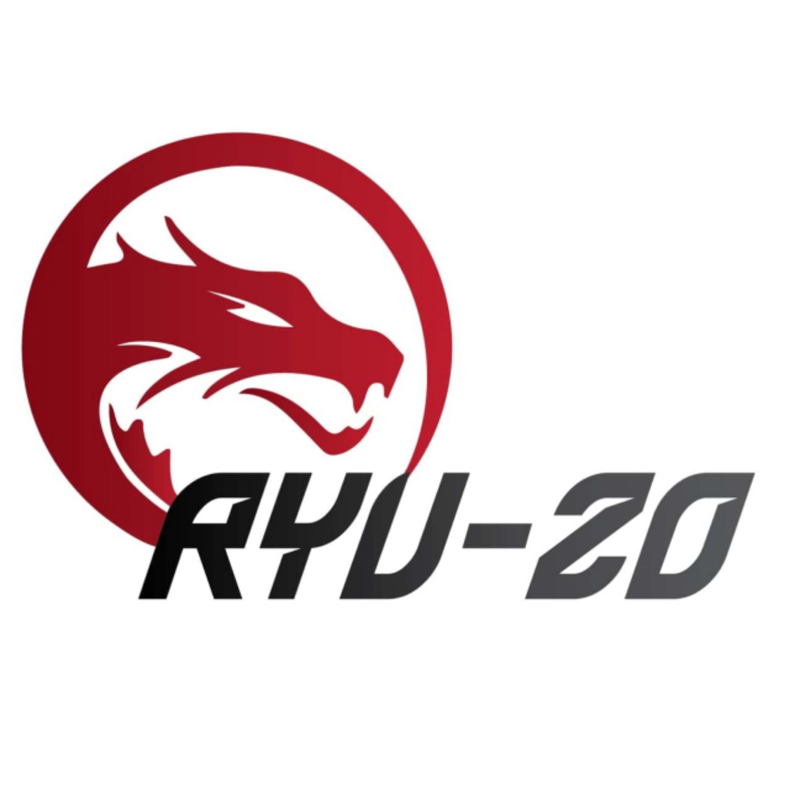 Produk RYU-ZO Official Shop | Shopee Indonesia