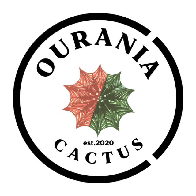 Produk Ourania.Cactus | Shopee Indonesia