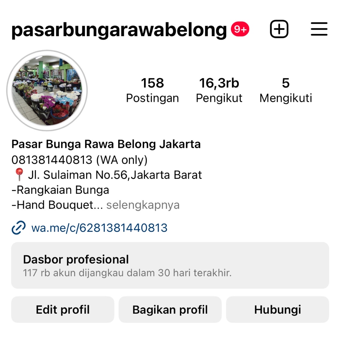 Produk Pasar Bunga Rawa Belong | Shopee Indonesia