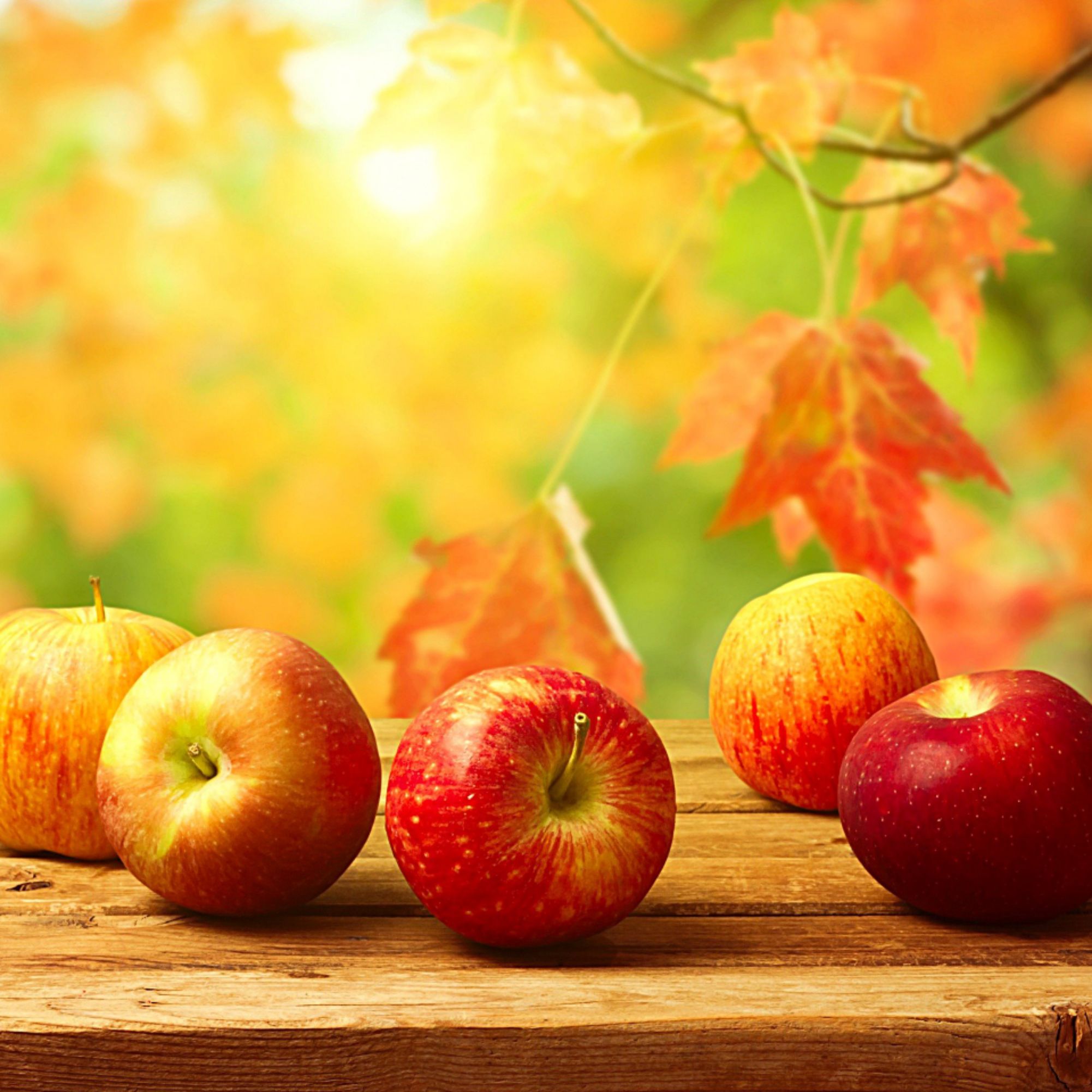 Produk Lakiya | Shopee Indonesia