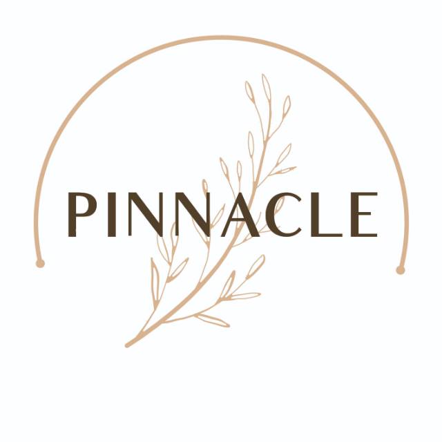 Produk Pinnacle Clothing | Shopee Indonesia