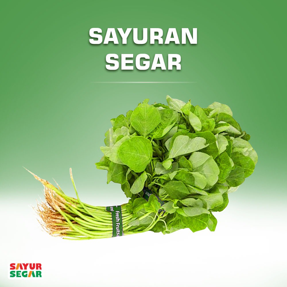 Produk SAYUR SEGAR | Official | Shopee Indonesia