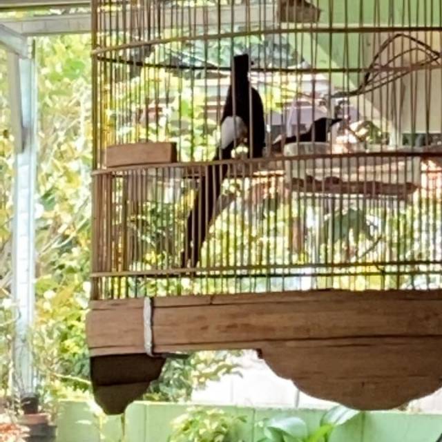 Produk kelixjog | Shopee Indonesia