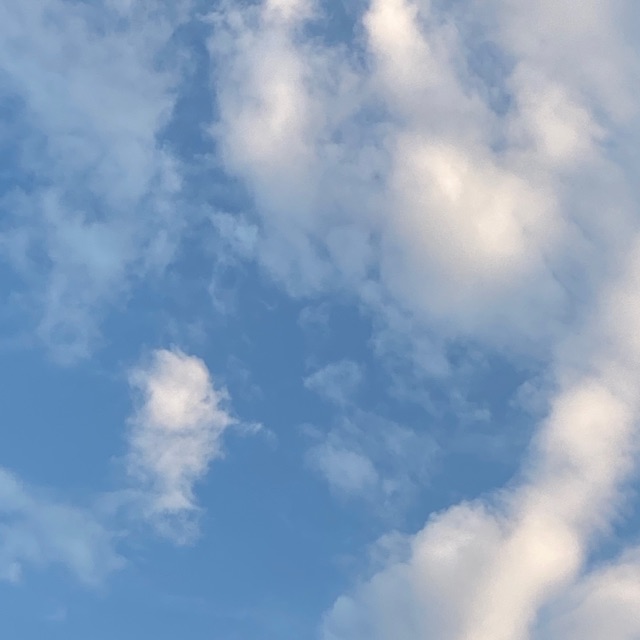 Produk Hnnnn | Shopee Indonesia