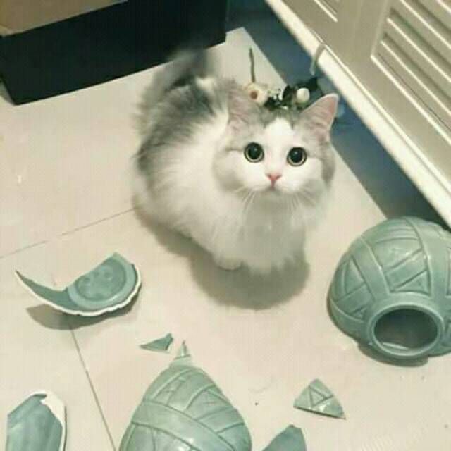 Produk hrnisa_iicha | Shopee Indonesia