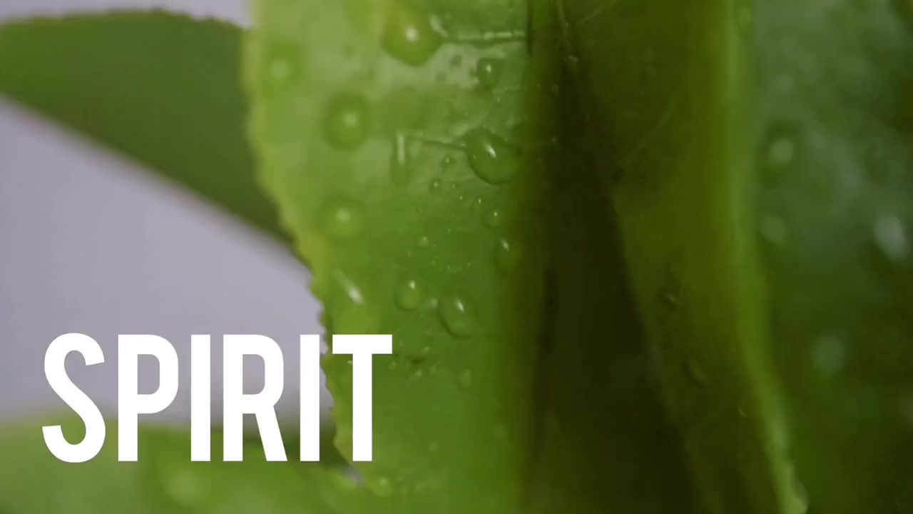 Toko Online Tan Baron Official Shop | Shopee Indonesia