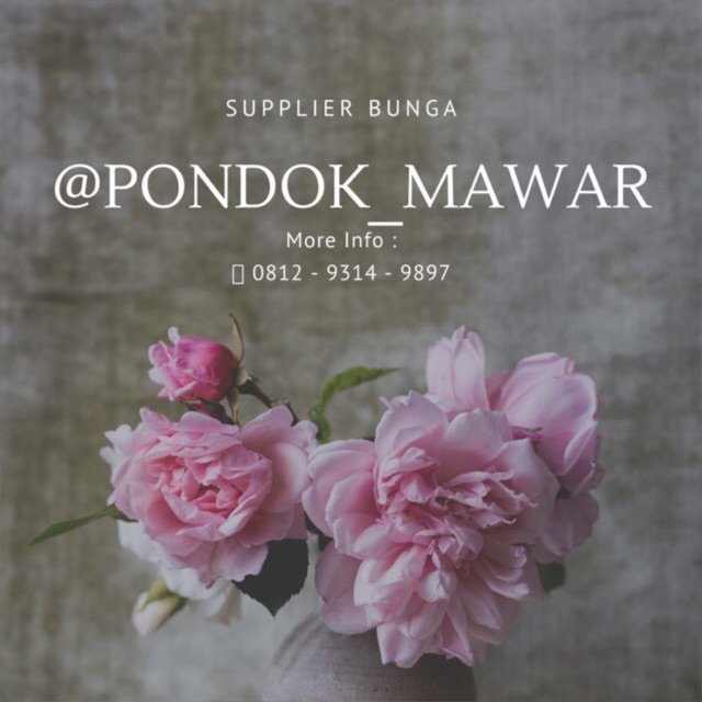 Produk Pondok Mawar | Shopee Indonesia