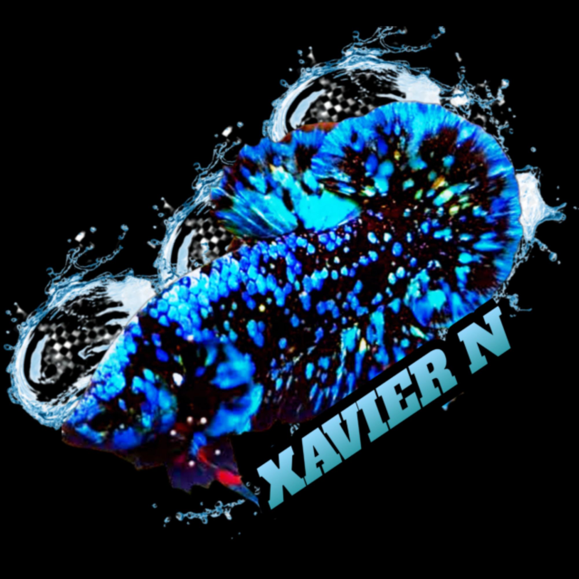 Produk XAVIER N | Shopee Indonesia