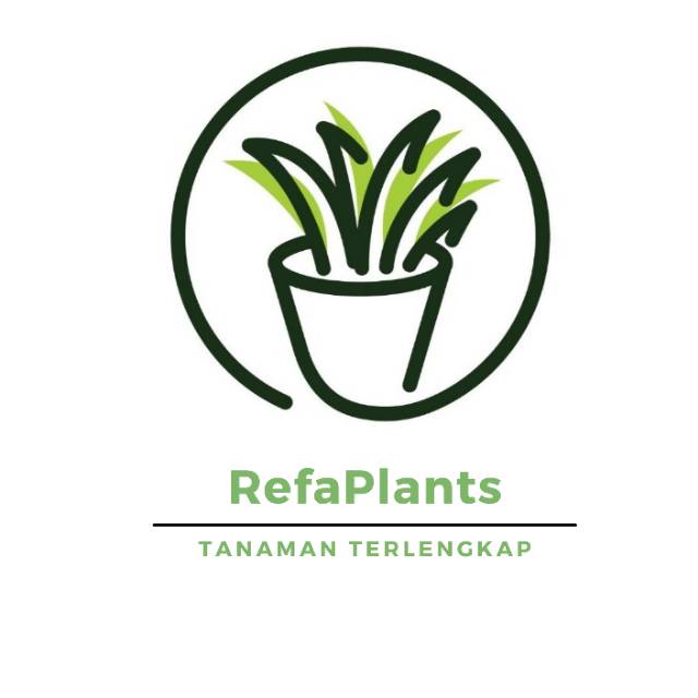 Produk refa_plants | Shopee Indonesia