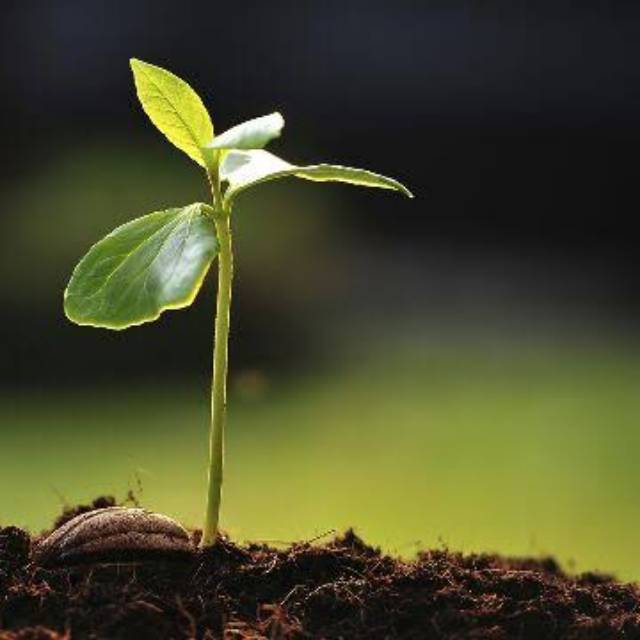 Produk Lens Farm | Shopee Indonesia