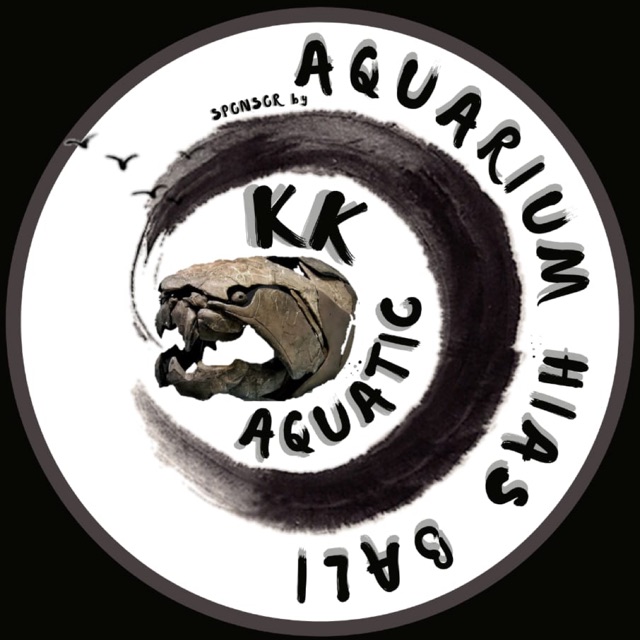 Produk KK Aquatic Cece | Shopee Indonesia