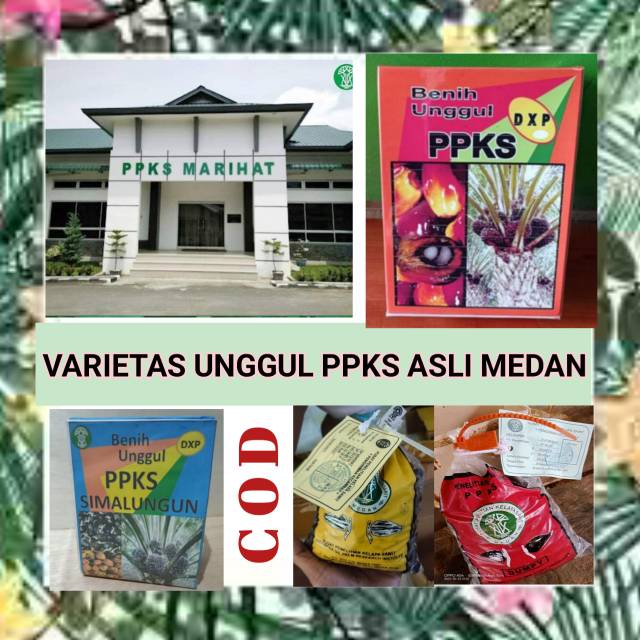 Produk CV GUNUNG _ RAYA | Shopee Indonesia