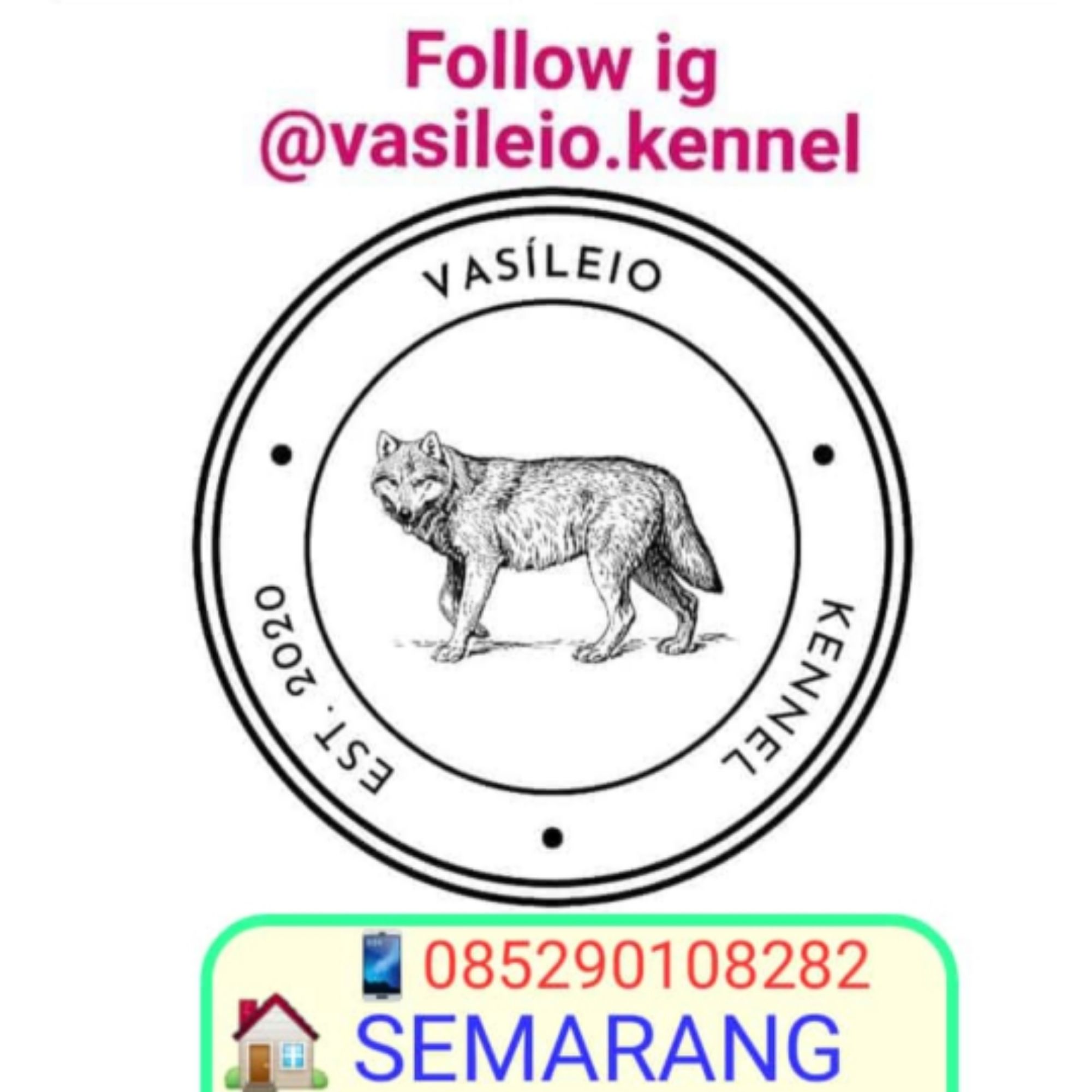 Produk Omah Segawon | Shopee Indonesia