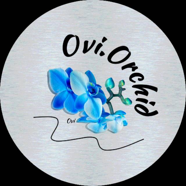 Produk ovi.orchid | Shopee Indonesia