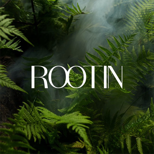 Produk Rootin Official | Shopee Indonesia