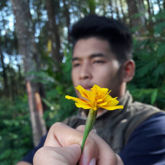 Produk brader-jay | Shopee Indonesia