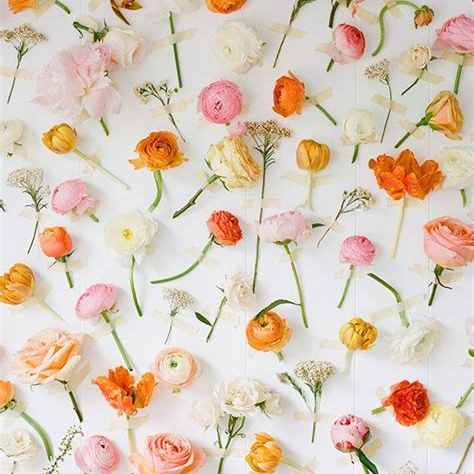 Produk chris chad | Shopee Indonesia