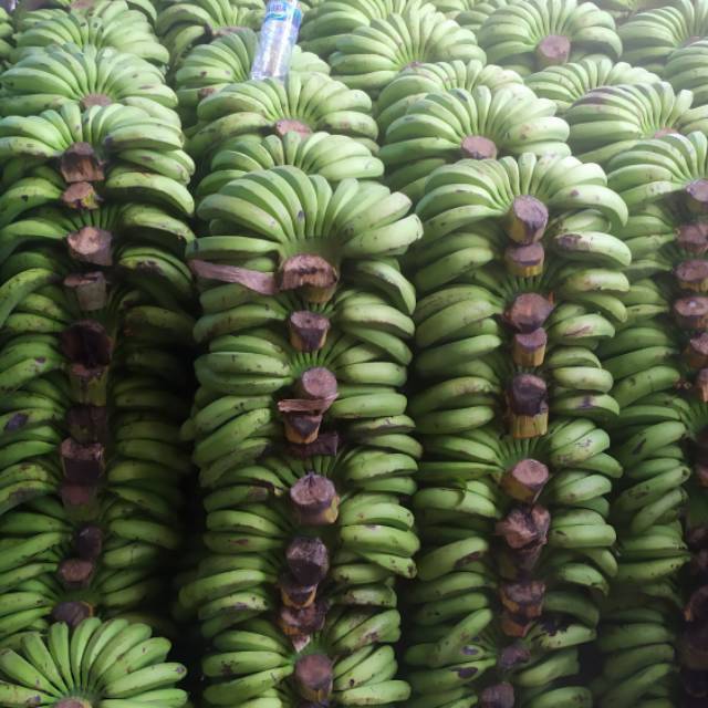 Produk Pisang barangan medan | Shopee Indonesia