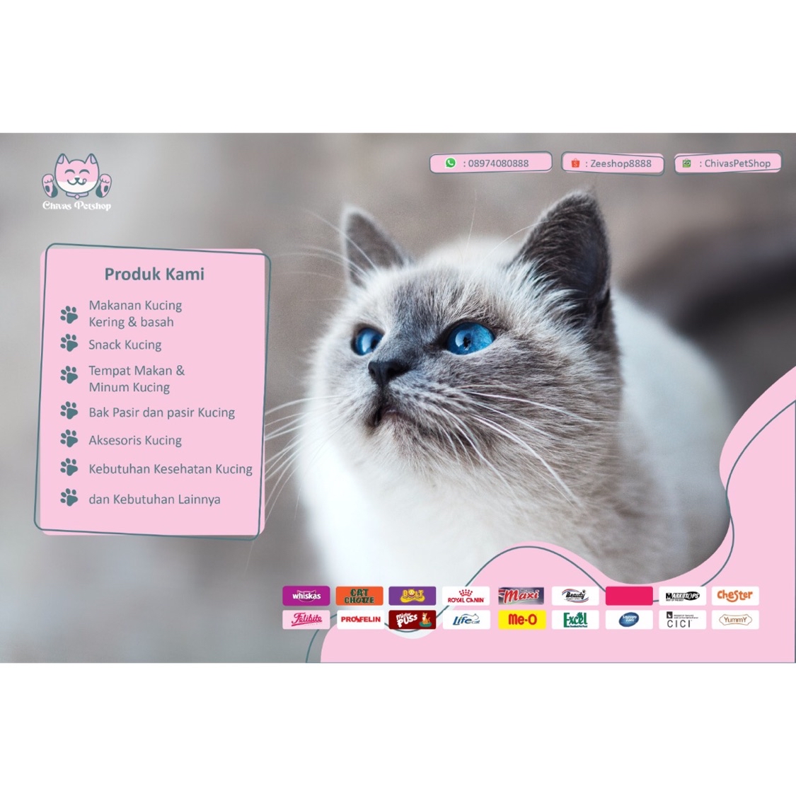 Produk Cat’s_Pet | Shopee Indonesia