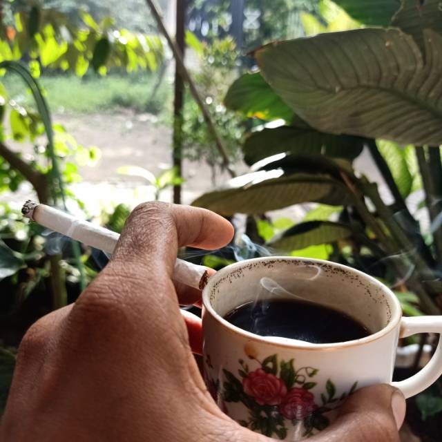 Produk tony blank | Shopee Indonesia