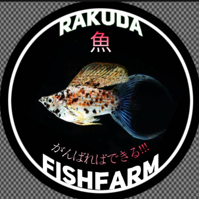 Produk Rakuda Shop | Shopee Indonesia