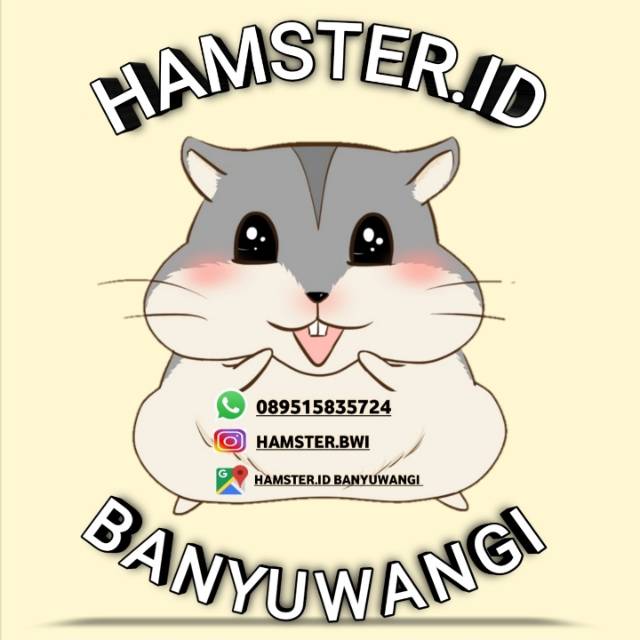 Produk HAMSTER.ID BWI | Shopee Indonesia
