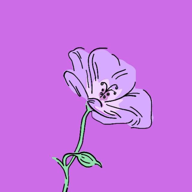 Produk AZNA AZKA | Shopee Indonesia