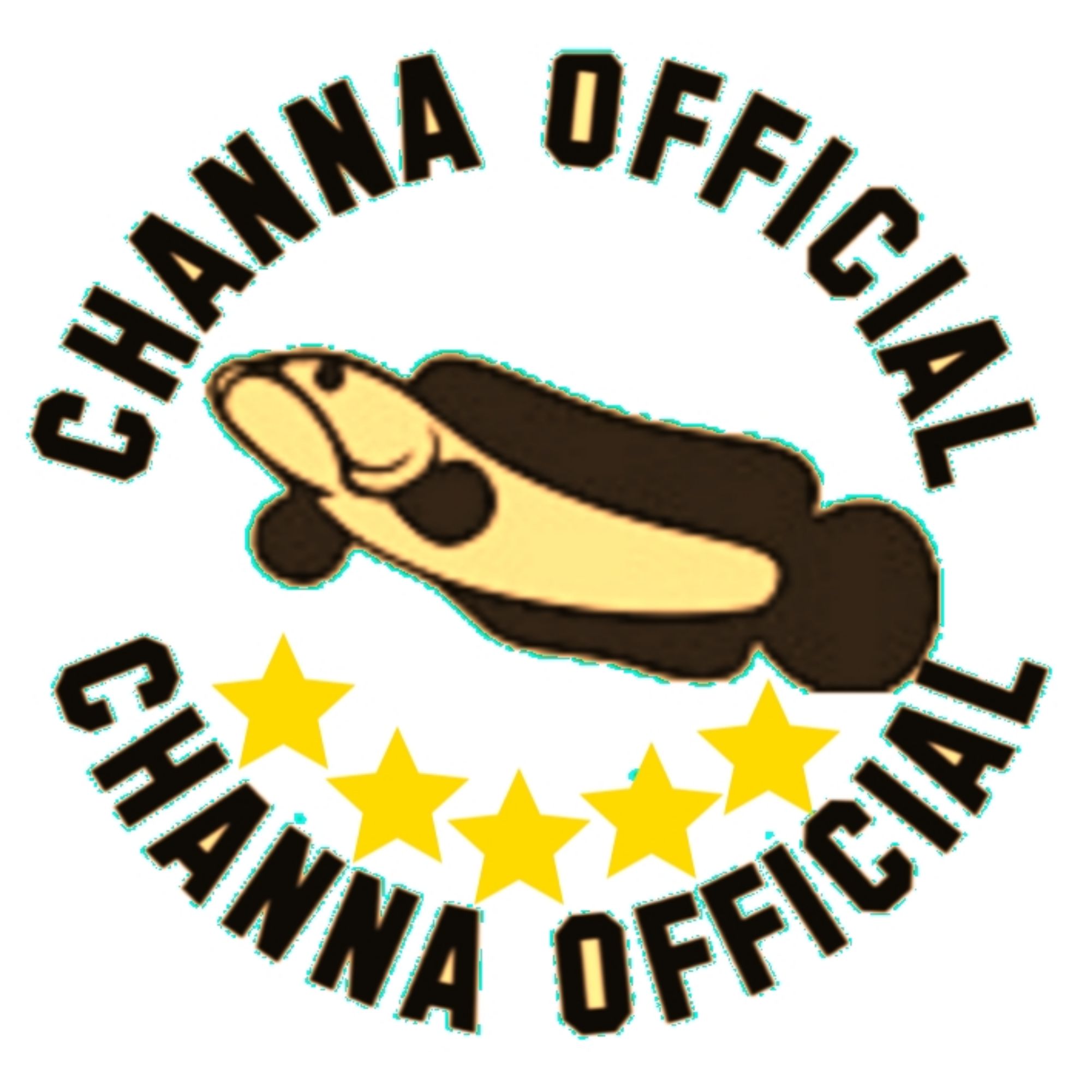 Produk CHANNA OFFICIAL | Shopee Indonesia