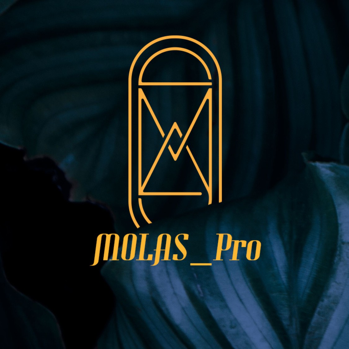 Produk MOLAS_Pro | Shopee Indonesia