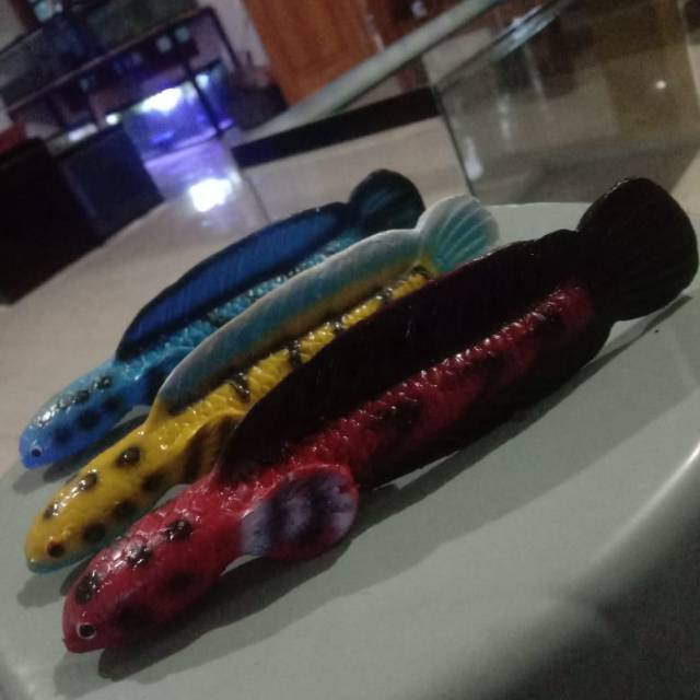 Produk Jojo fish | Shopee Indonesia