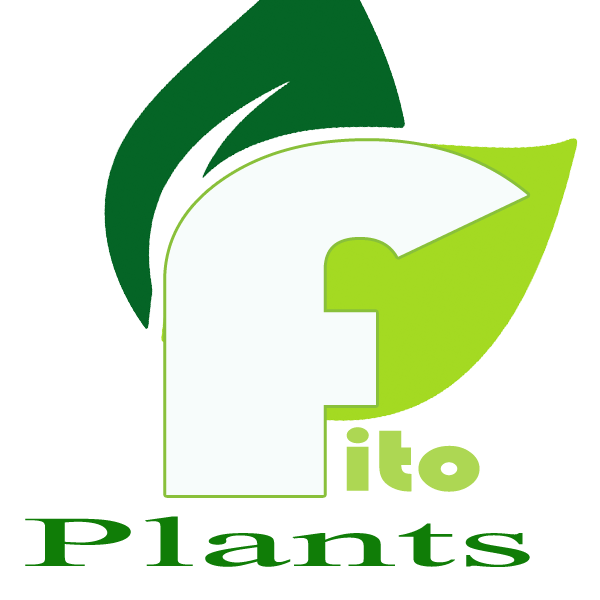 Produk Fito_Plants | Shopee Indonesia