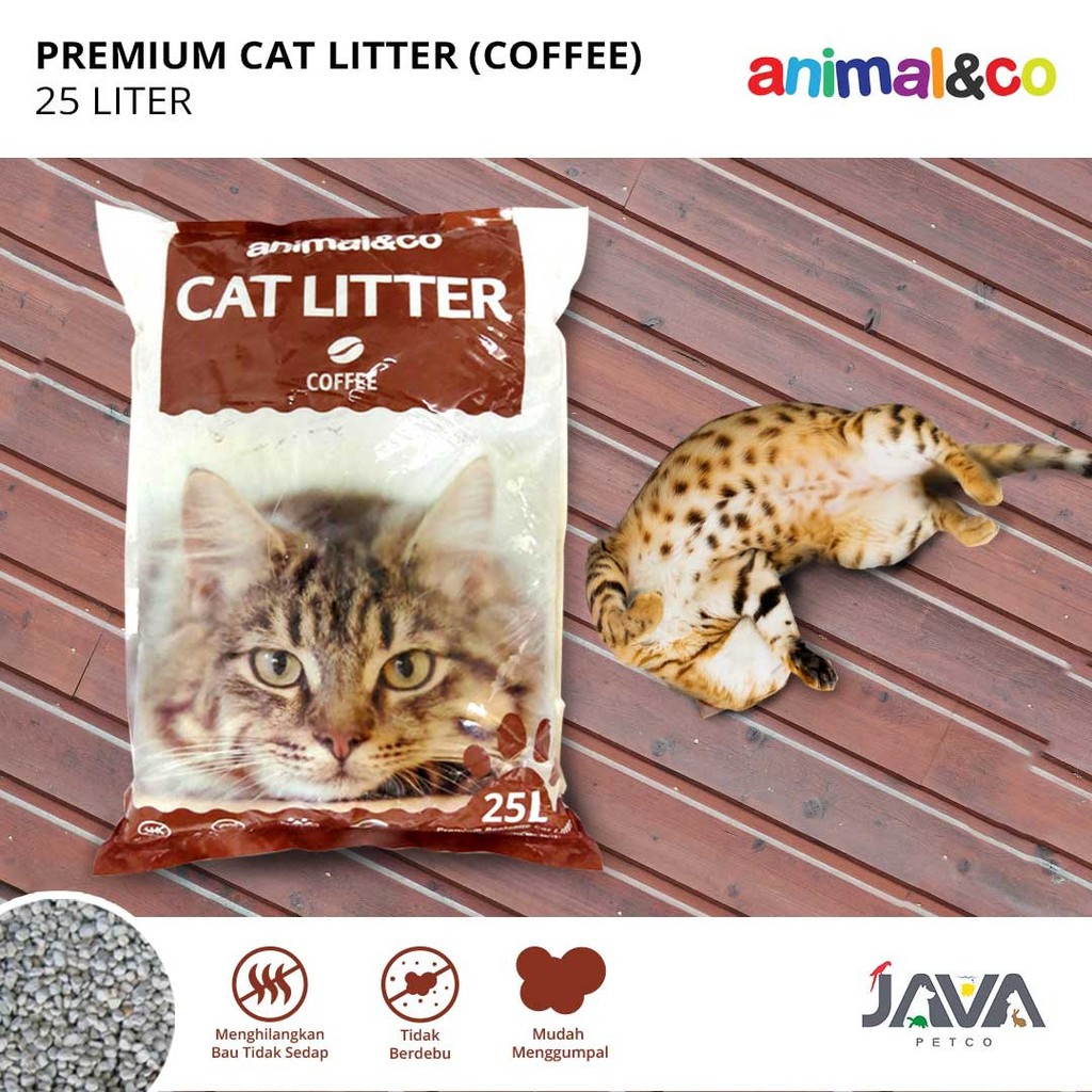 Produk Java Petco Official | Shopee Indonesia