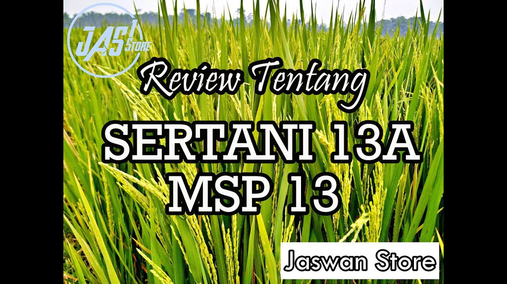 Produk Jaswan Store | Shopee Indonesia