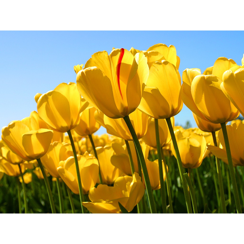 Produk Asia Komp | Shopee Indonesia